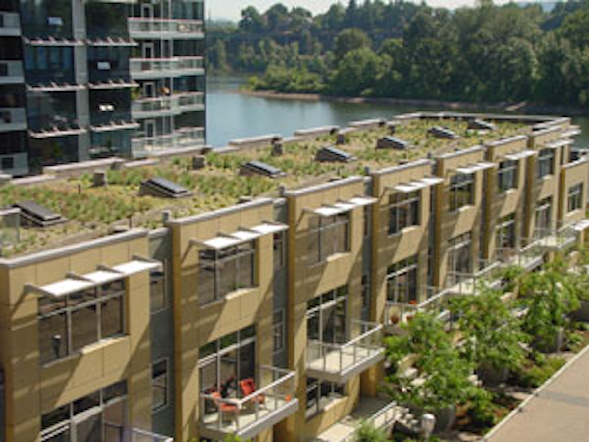 Safety Fall Protection Green Roofs Tree Care | Green Industry Pros
