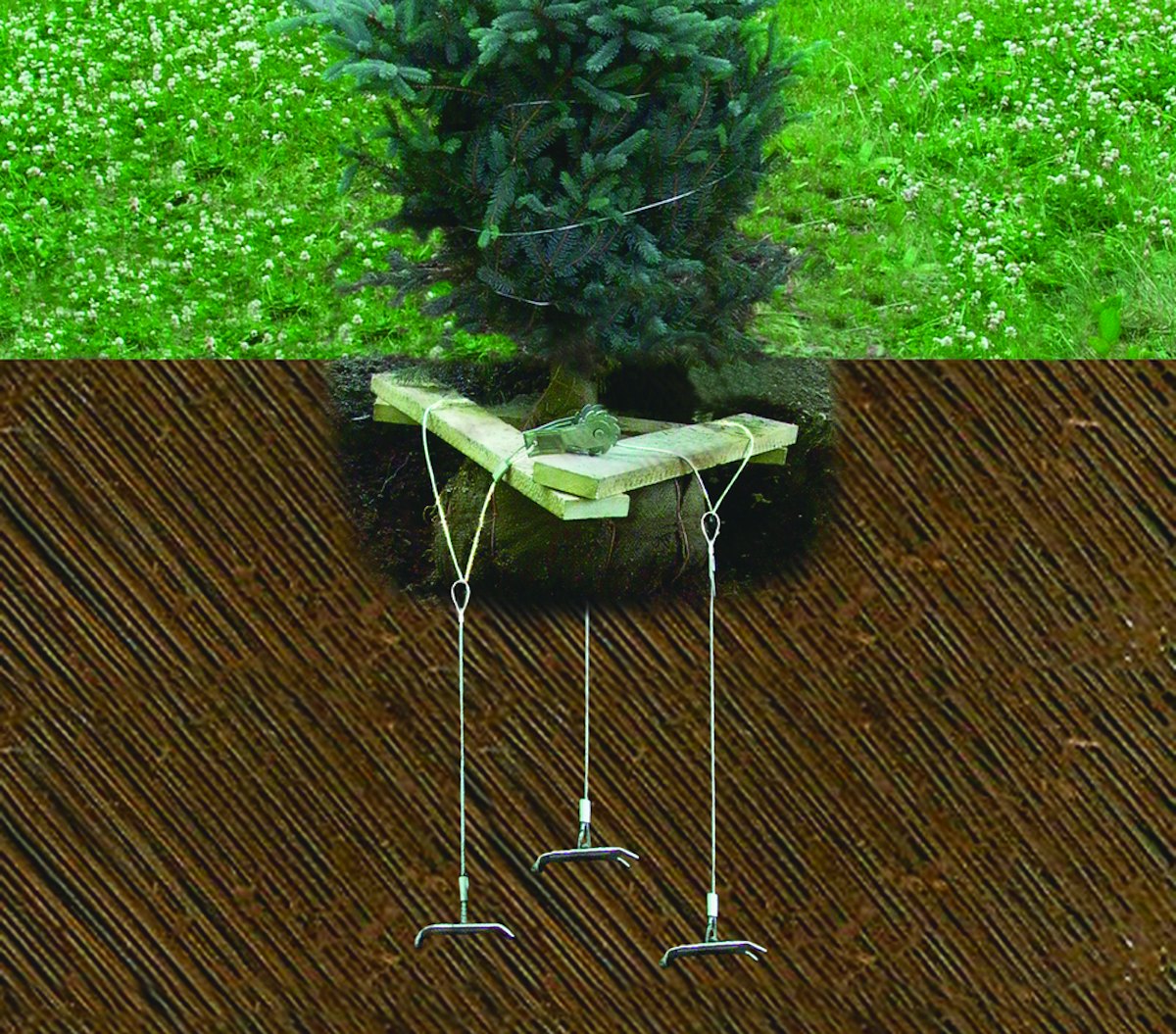 Earthwing Rootball Anchors From: Berkshire Products Inc. | Green ...