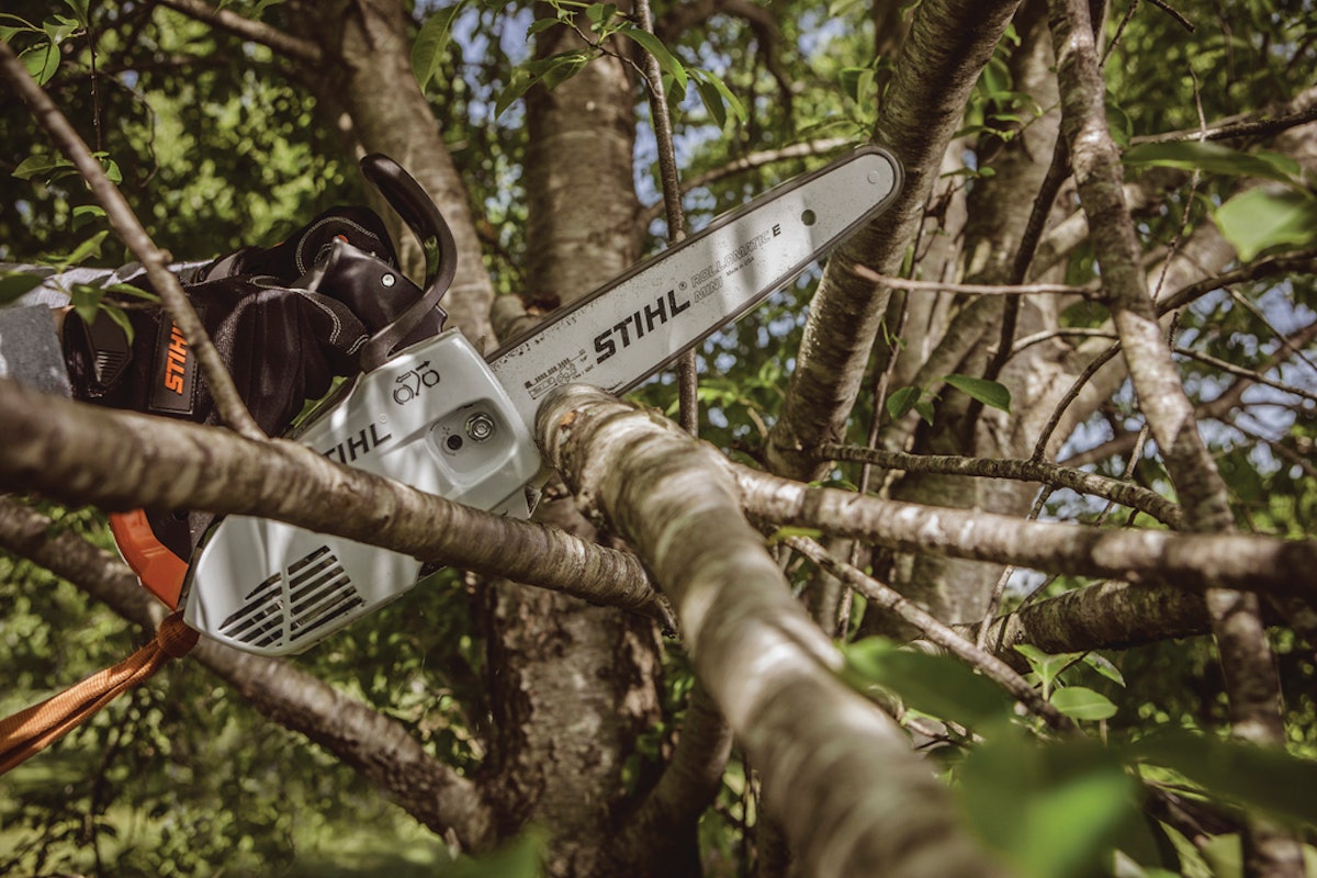 MS 150 T C-E Chainsaw From: Stihl Incorporated | Green Industry Pros