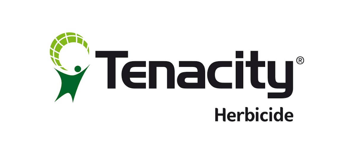 tenacity logo design