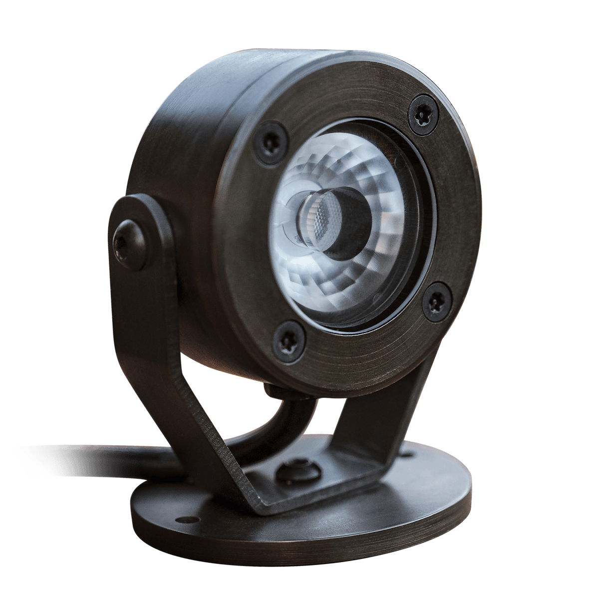 Dauer Neptune II Integrated Submersible | Green Industry Pros