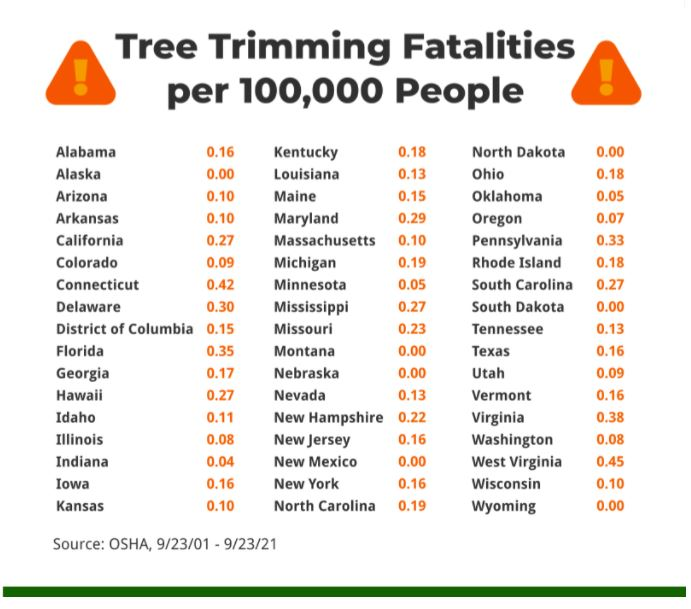 Top 5 States With Most Tree Trimming Accidents and Injuries | Green ...