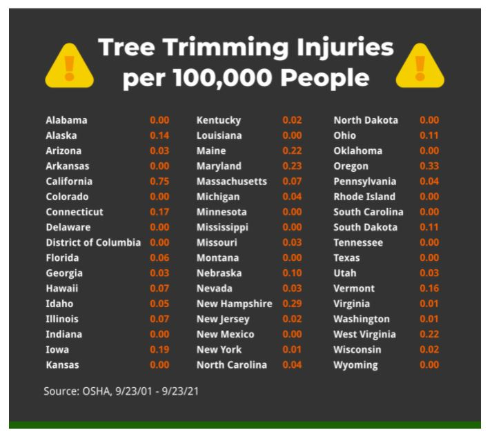 Top 5 States With Most Tree Trimming Accidents and Injuries | Green ...