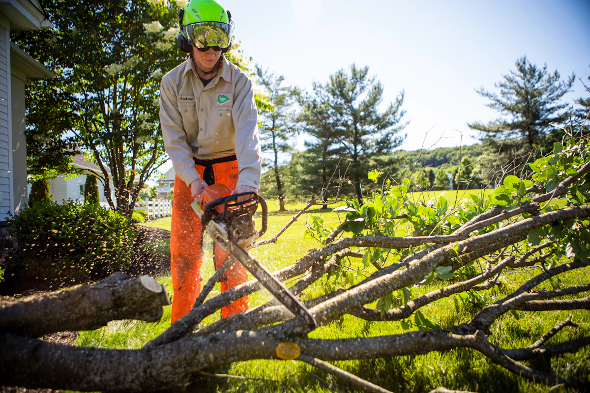 State of the Green Industry: 2024 Trends | Green Industry Pros