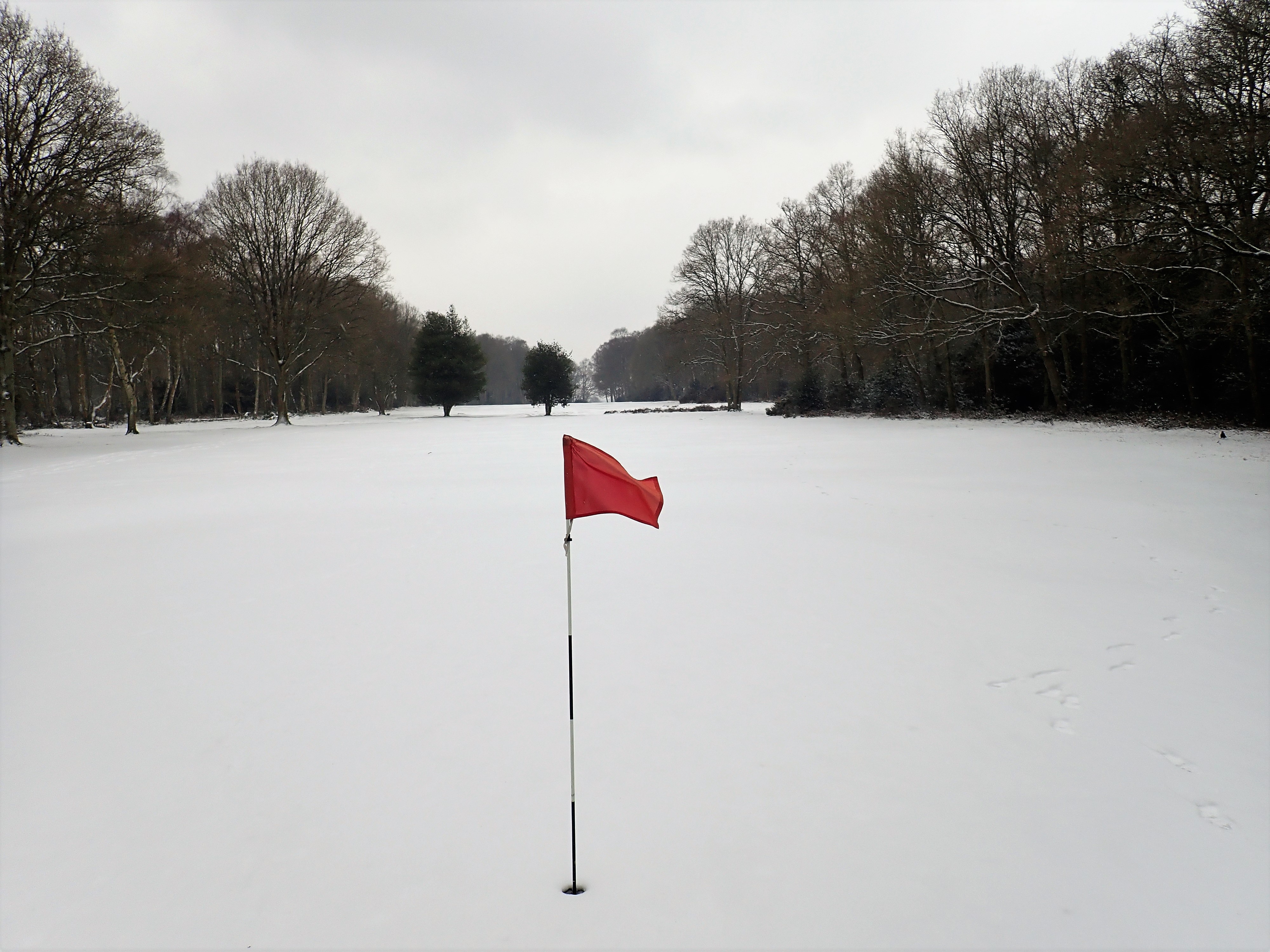 Winter Golf Course Care: Snow Removal Strategies | Green Industry Pros
